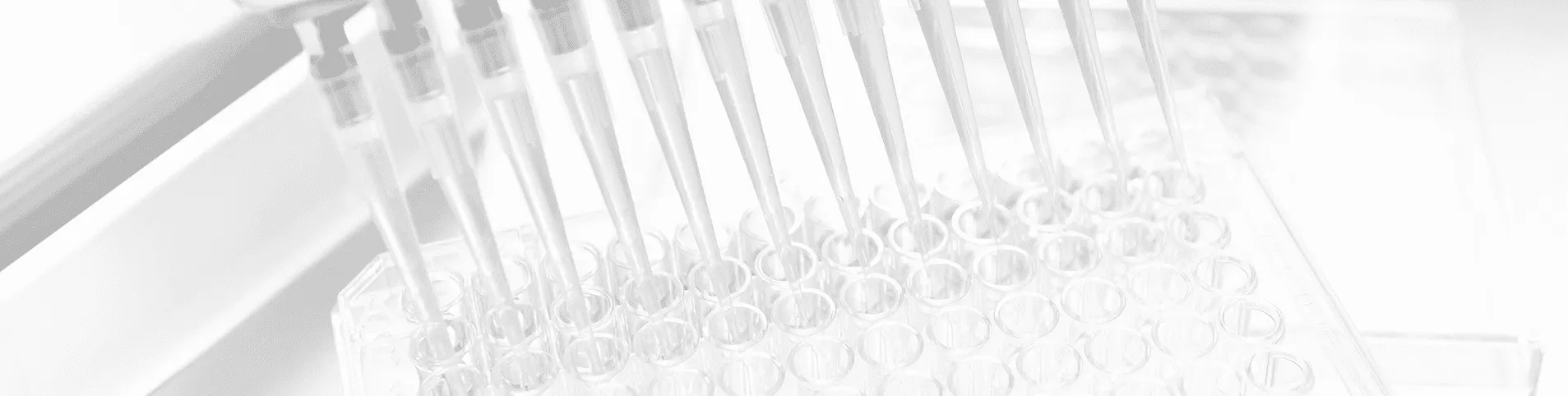 Cell Culture Monitoring Instruments - IPRASENSE