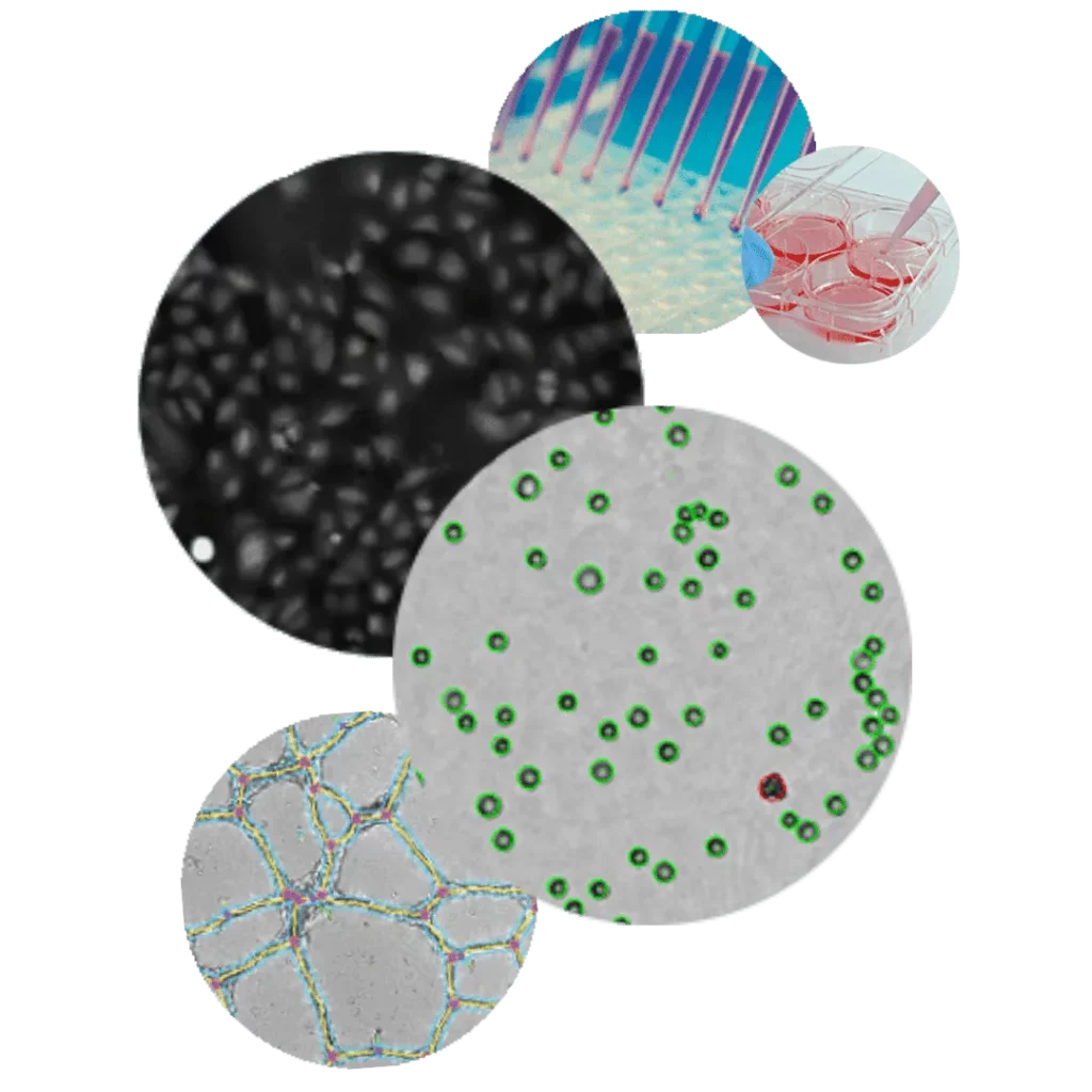 Cell Culture Monitoring Instruments - IPRASENSE